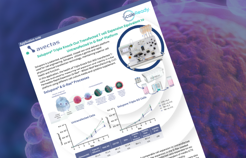 The Significance of Cell Expansion in T-cell Health Assessment - ScaleReady